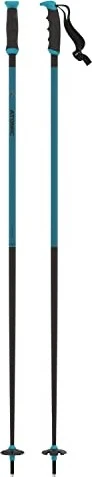Atomic Redster X Alpin Skistock teal blue ab € 40,33 (2025 ...