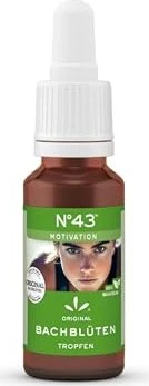 Hager Pharma Bachblüten No. 43 Motivation Tropfen ab € 13,19 (2026 ...