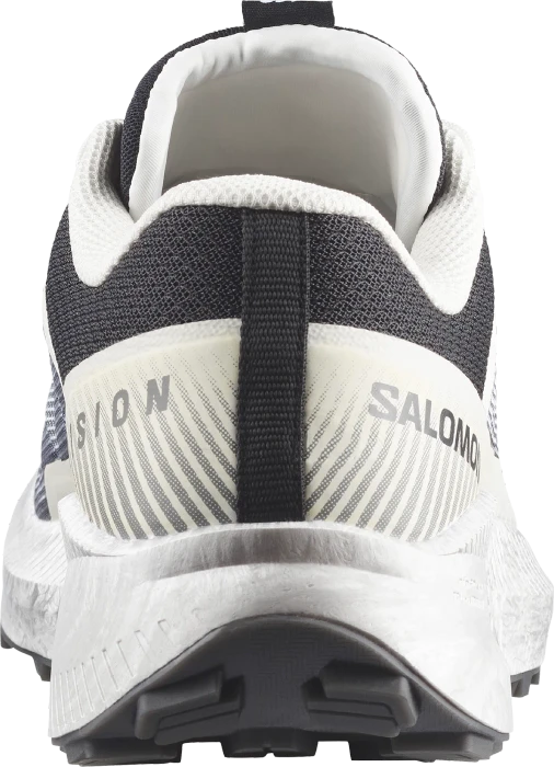 Salomon Vision vanilla ice/lunar rock/black ab € 134,36 (2026 ...