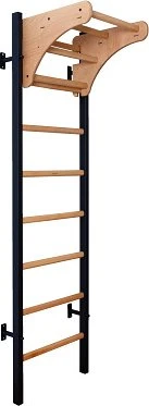BenchK 211B Sprossenwand 230x67cm schwarz ab € 659,00 (2026 ...