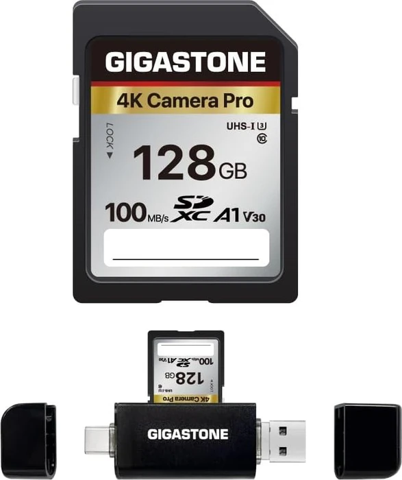 Gigastone 4k Camera Pro R100 SDXC 128GB mit Cardreader | Preisvergleich ...