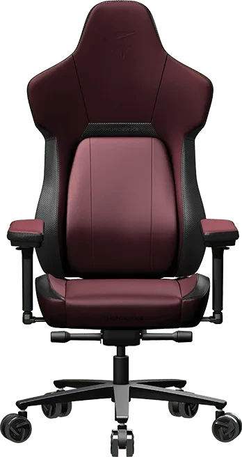 Thunder X3 Core Modern Gamingstuhl ab € 459,88 (2026) | Preisvergleich ...