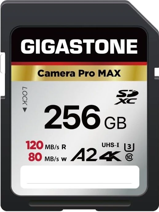 Gigastone Camera Pro MAX R120/W80 SDXC 256GB | Preisvergleich Geizhals ...