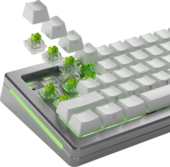 Glorious Raptor HE Clicky Magnetic Switch ab € 44,86 (2026 ...