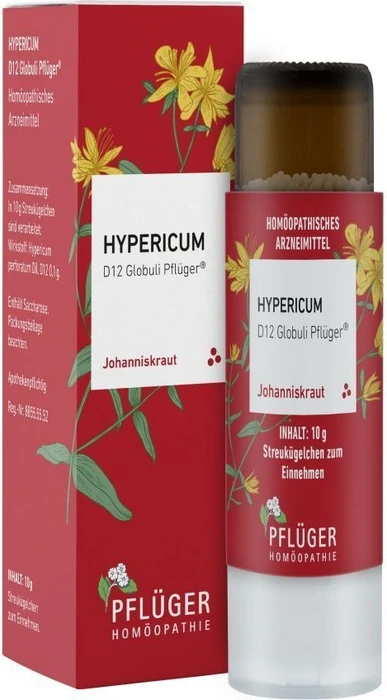 Elegantes Hypericum Globuli Anwendungsgebiete Bild