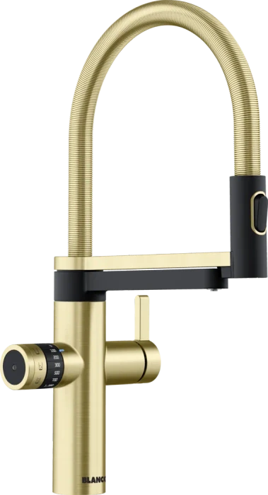 Blanco Evol-S Pro Soda & Filter Set gold ab € 2790,00 (2026 ...